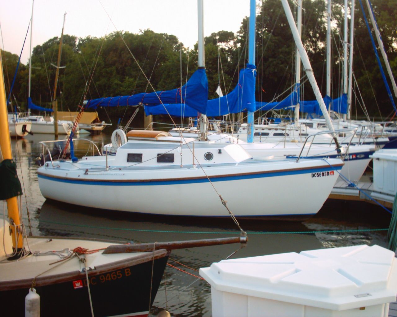 Westerly Cirrus – Westerly Club Nederland